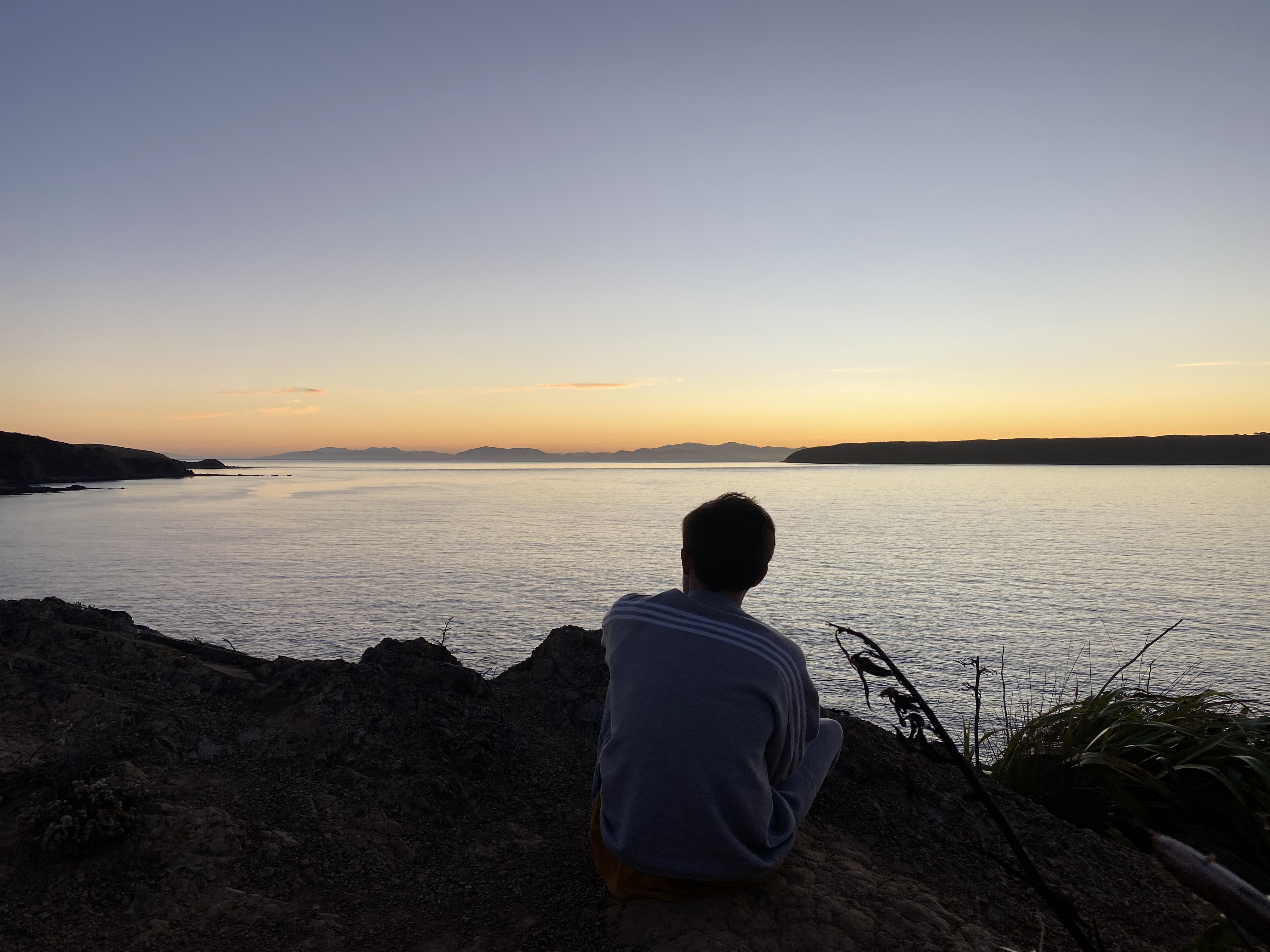 Māori Language Week: Poetry by Nadine Anne Hura – Love in the Time of COVID