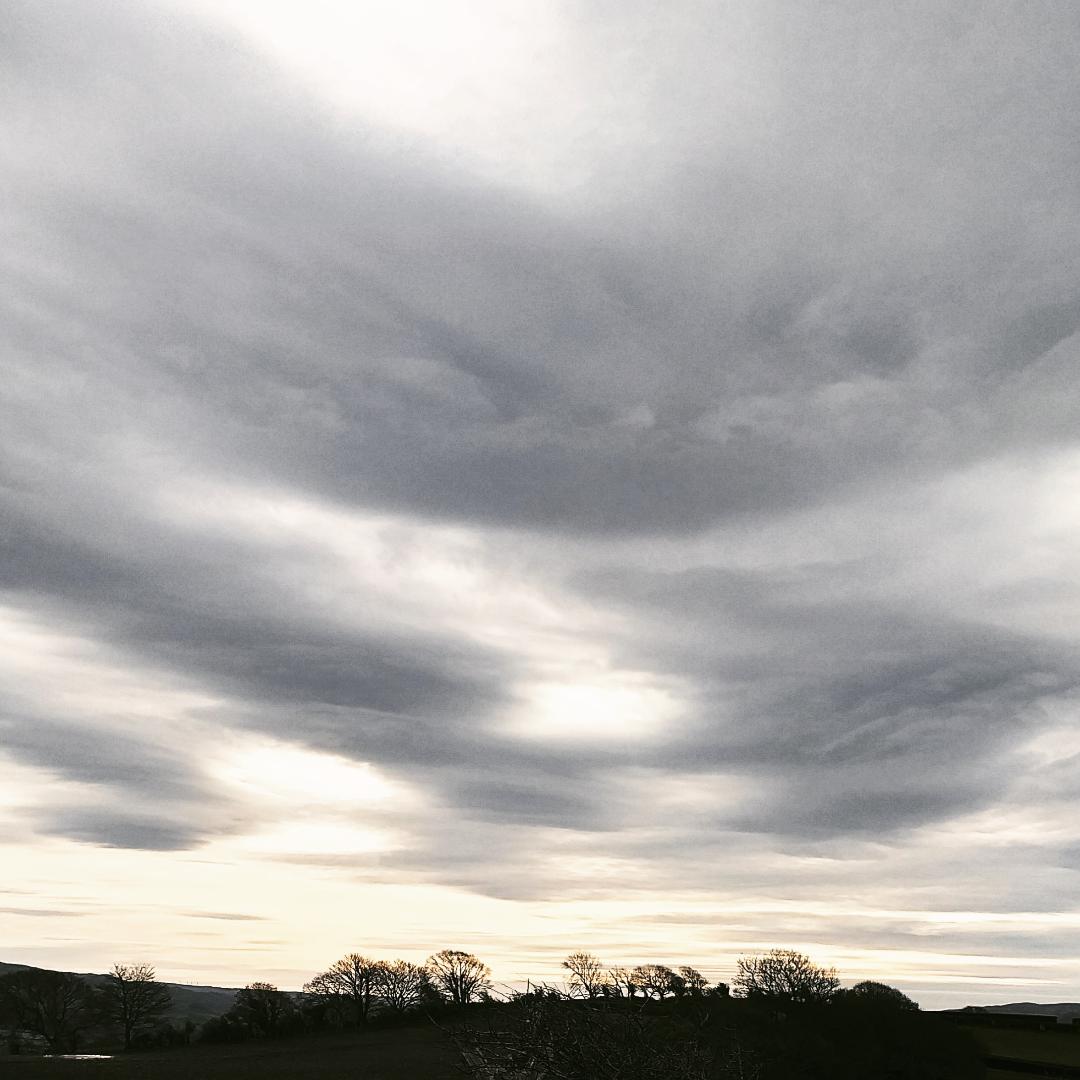 Unfurling – Alison Lock – Love in the Time of COVID